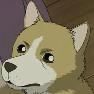 File:Anno's dog.jpg - Detective Conan Wiki