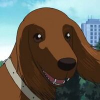 The Great Dog Coeur's Triumph - Detective Conan Wiki