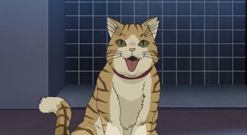 The Beika City Shopping Center Garbage Bin Mystery/Gallery - Detective ...