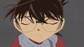 The Holed-Up Sensation - Detective Conan Wiki