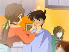 Disguise - Detective Conan Wiki