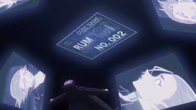 Curaçao - Detective Conan Wiki