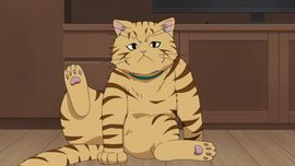 The Mouri Family House Sits/Gallery - Detective Conan Wiki