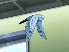 The Detective Boys' Bluebird Chase/Gallery - Detective Conan Wiki