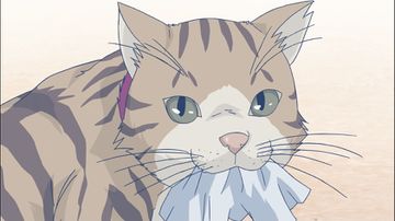 The Beika City Shopping Center Garbage Bin Mystery/Gallery - Detective ...