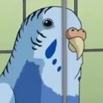 The Detective Boys' Bluebird Chase - Detective Conan Wiki