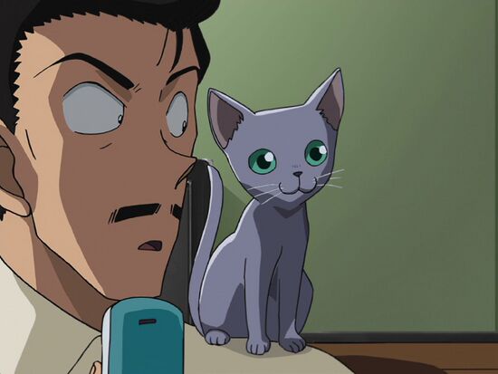 Secret of the Russian Blue - Detective Conan Wiki