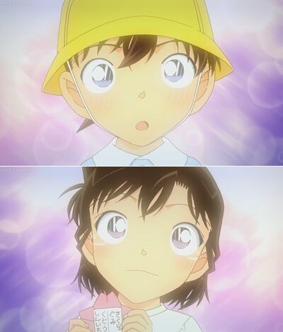 Shinichi Kudo and Ran Mouri - Detective Conan Wiki