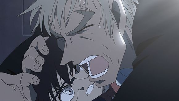 The Raven Chaser - Detective Conan Wiki