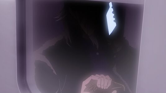 Mysterious Old Man with Bird - Detective Conan Wiki